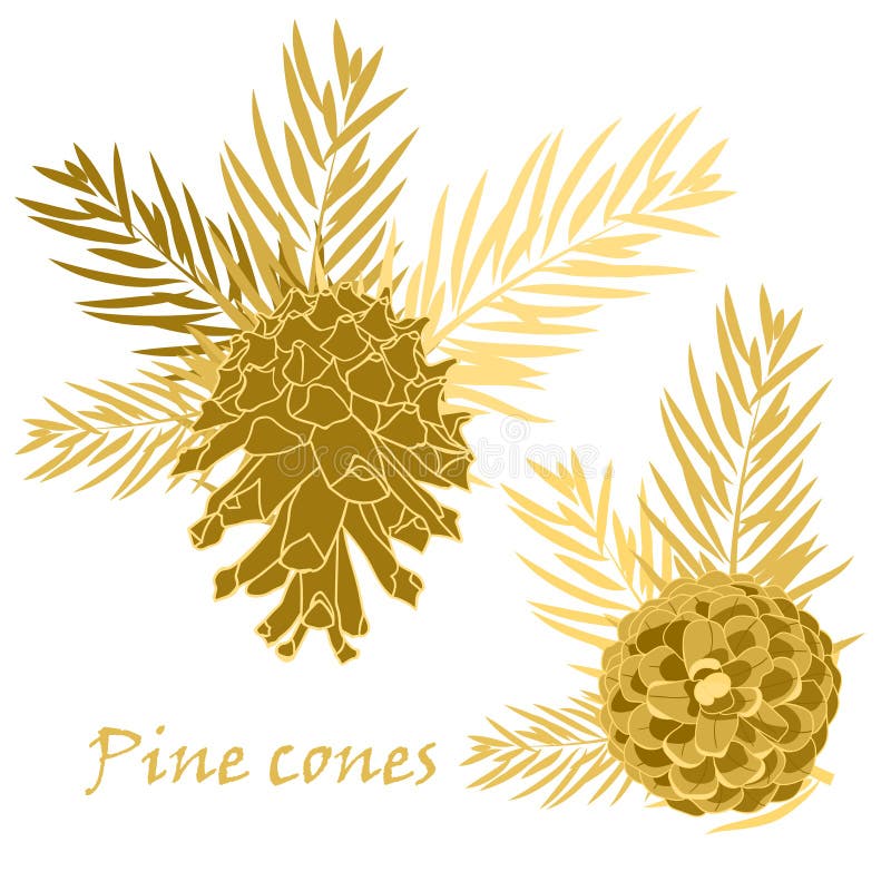 Fir Tree Branches with Pine Cone in Golden Color Stock Illustration ...