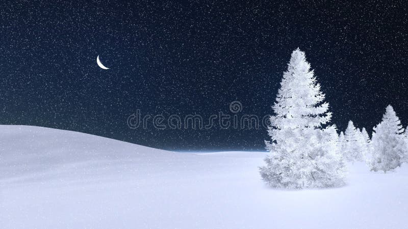 Fir Tree Covered with Hoarfrost at Winter Night Stock Photo - Image of ...