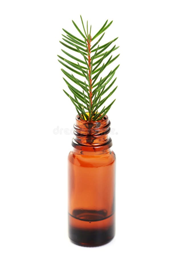 Fir tree essential oil stock photo. Image of beauty, health - 11554414