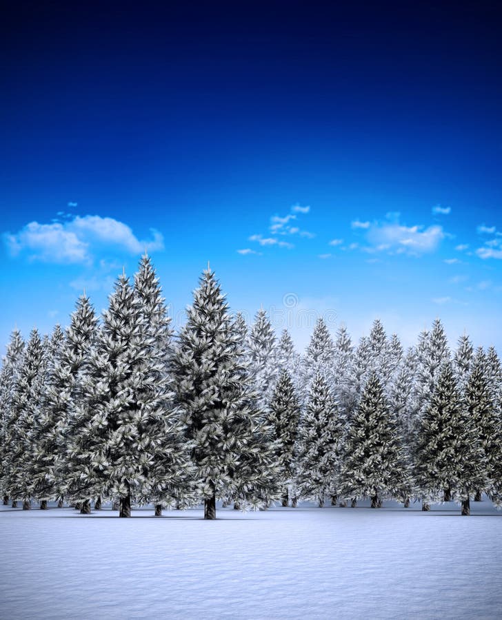 Fir Tree Forest in Snowy Landscape Stock Illustration - Illustration of ...