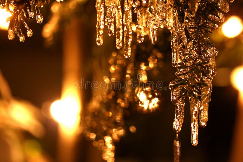 Encasing Plants Stock Photos - Free & Royalty-Free Stock Photos from ...