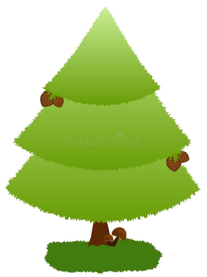 Fir tree stock vector. Illustration of christmas, vector - 12956059