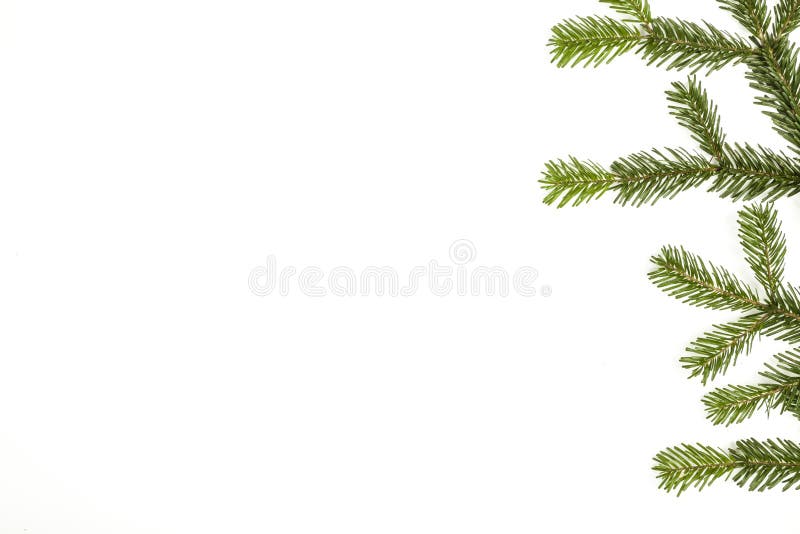 Fir Tree Isolated Border Design Stock Photo - Image of branches, green ...