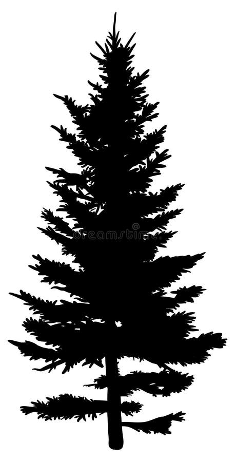Fir Tree Silhouette stock vector. Illustration of icon - 260813199