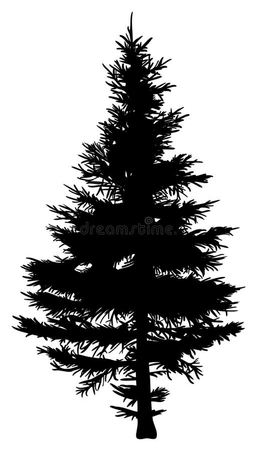 Fir Tree Silhouette stock vector. Illustration of outline - 260813221