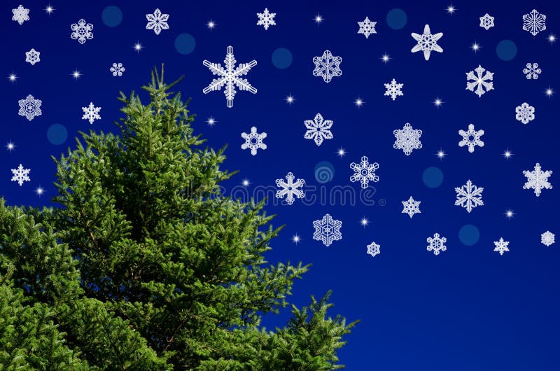 Fir tree and snow crystals stock image. Image of crystal - 27717369
