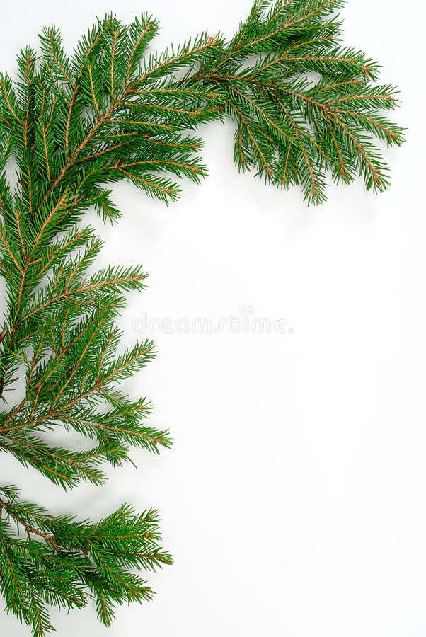 Fir-tree twig stock photo. Image of object, pine, artificial - 27099674