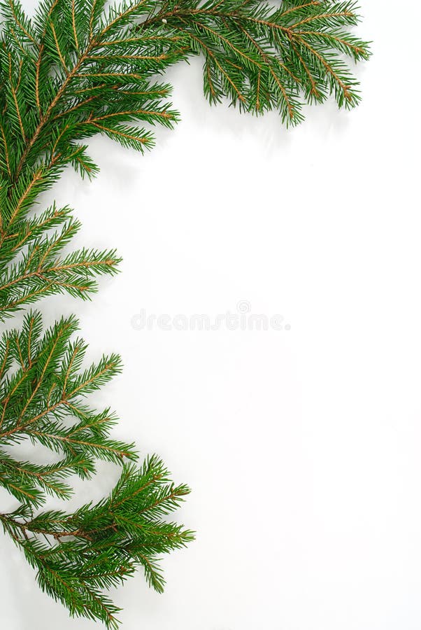 Fir-tree twig stock photo. Image of object, pine, artificial - 27099674