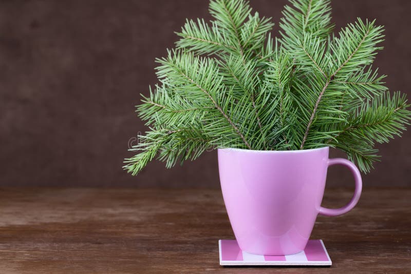 Fir-tree Twigs in a Mug on Wooden Table Stock Photo - Image of tabletop ...