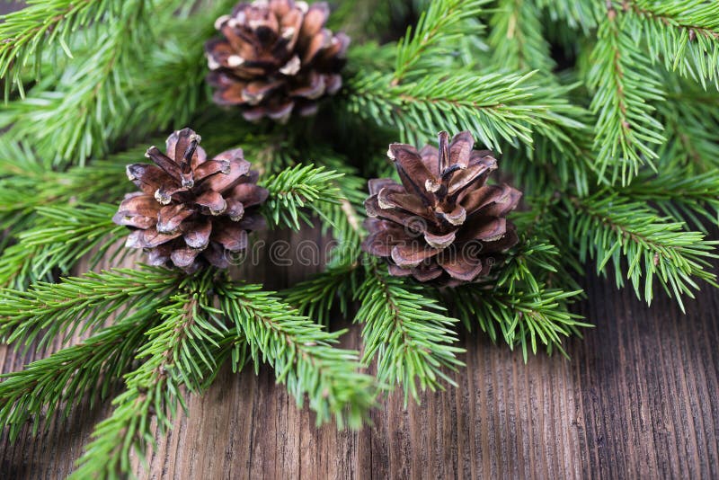 Fir Tree Twigs with Three Cones on Wooden Table Stock Image - Image of ...