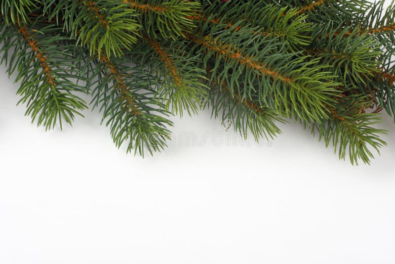 Fir Tree - on White Background Christmas Background Stock Image - Image ...