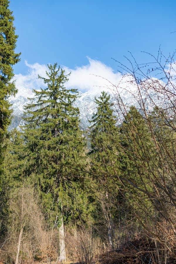 SCHAAN, LIECHTENSTEIN, SEPTEMBER 27, 2021 Feet on Some Dry Leafs on the ...