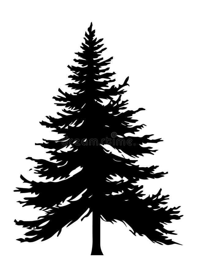 Fir Trees Silhouette. Black Silhouette of Sine Tree on White Background ...