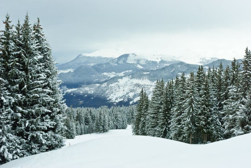 Quiet Winter Snowy Landscape Stock Photo - Image of coldish, drift ...