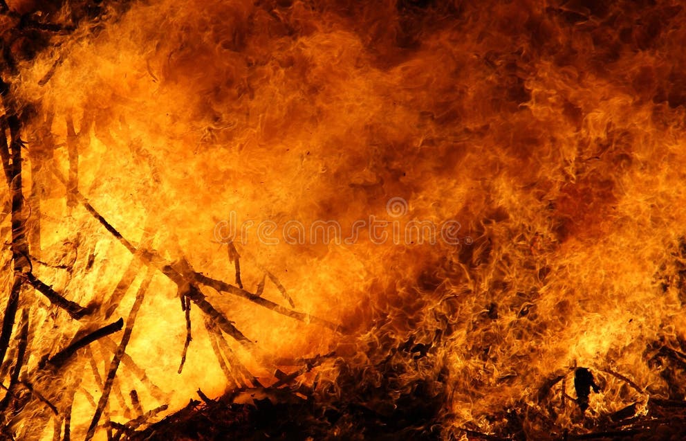 Fire stock photo. Image of bushfire, flames, wood, forestfire - 10213790