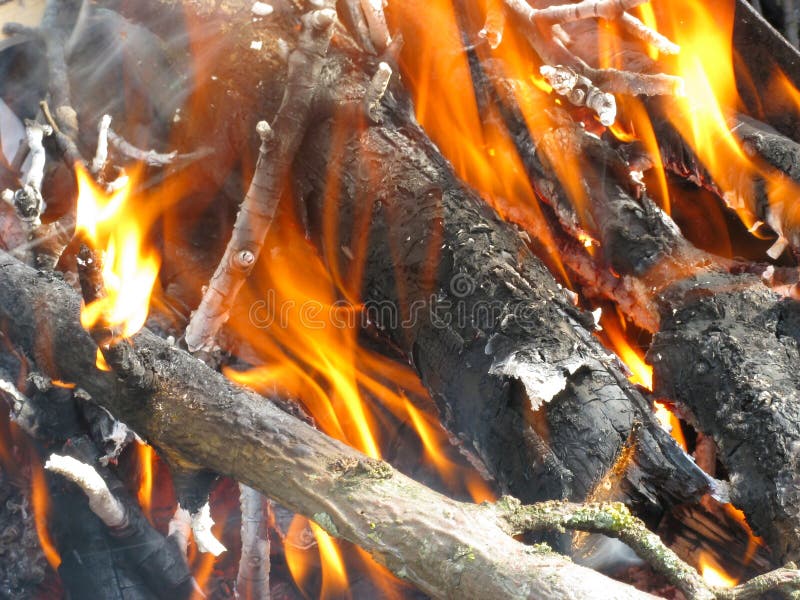 Fire stock image. Image of burning, light, flame, alight - 11692645