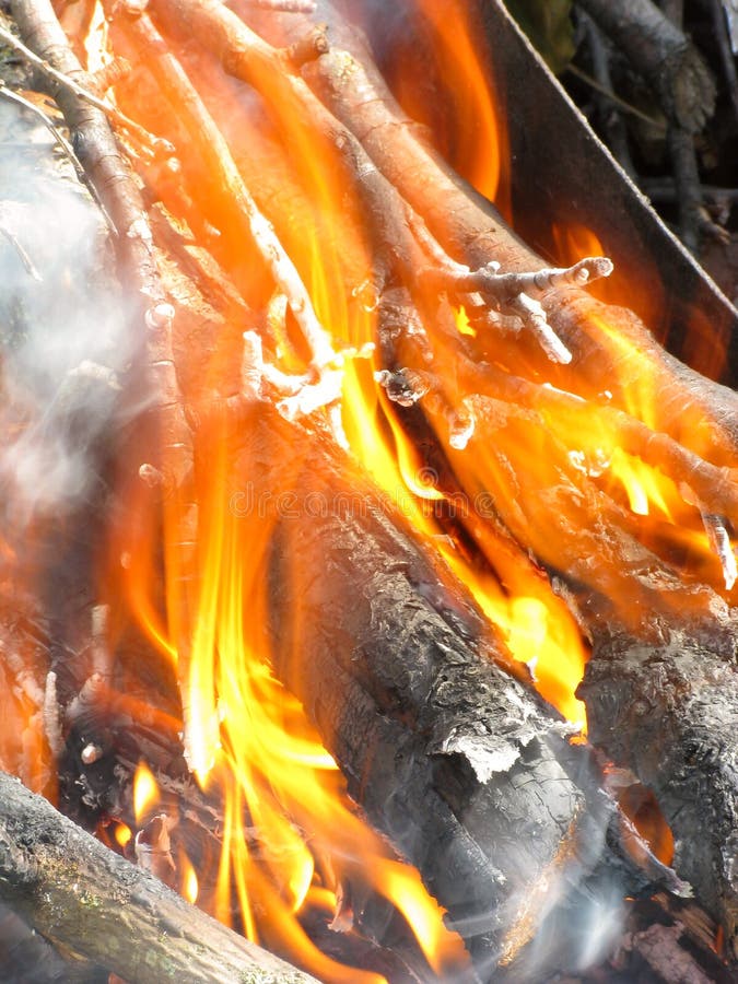 Fire stock image. Image of ardent, aflame, billet, forks - 11836223