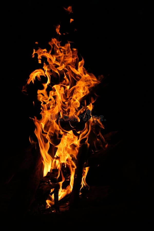 Homam ceremony stock photo. Image of fire, prayer, homa - 168184258