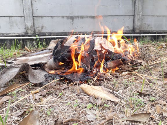 Fire stock image. Image of shells, fire, coconut, burning - 125570747