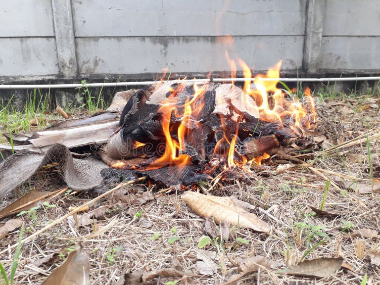 Fire stock image. Image of shells, fire, coconut, burning - 125570747