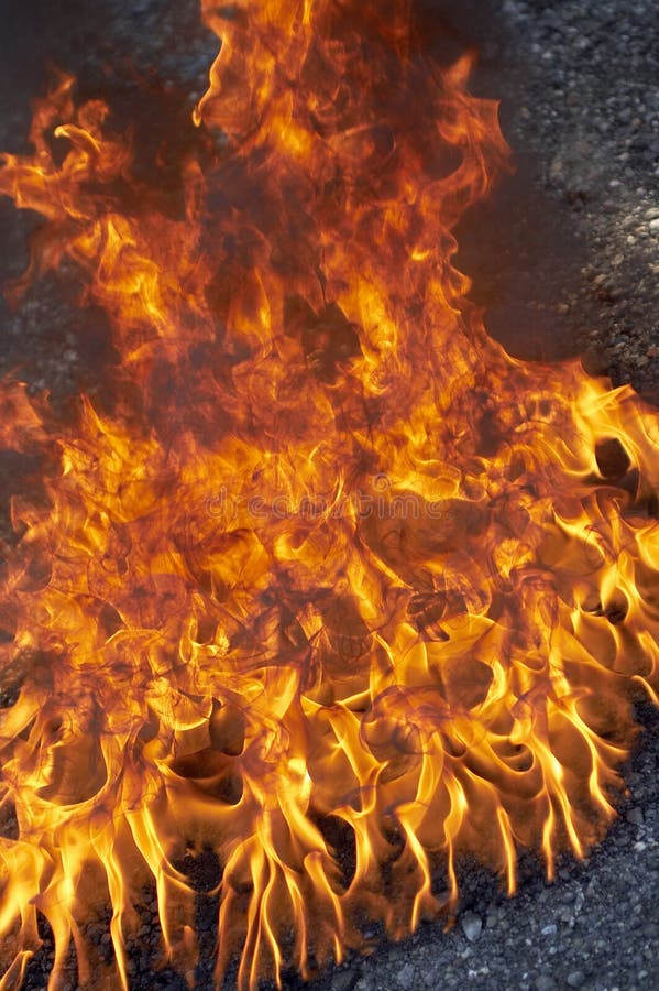 Extinguished Smoking Bonfire. Stock Image - Image of firewood, outdoors ...