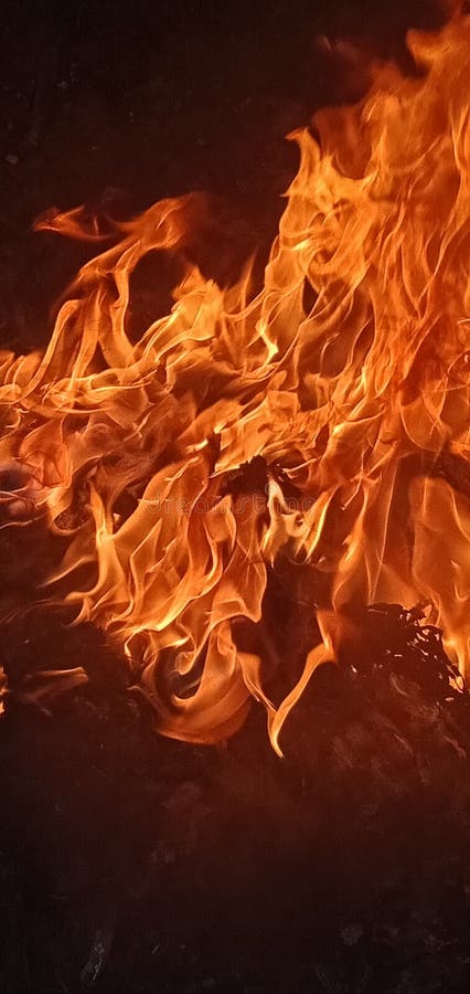 Fire stock image. Image of burning, beautiful, fire - 163616293
