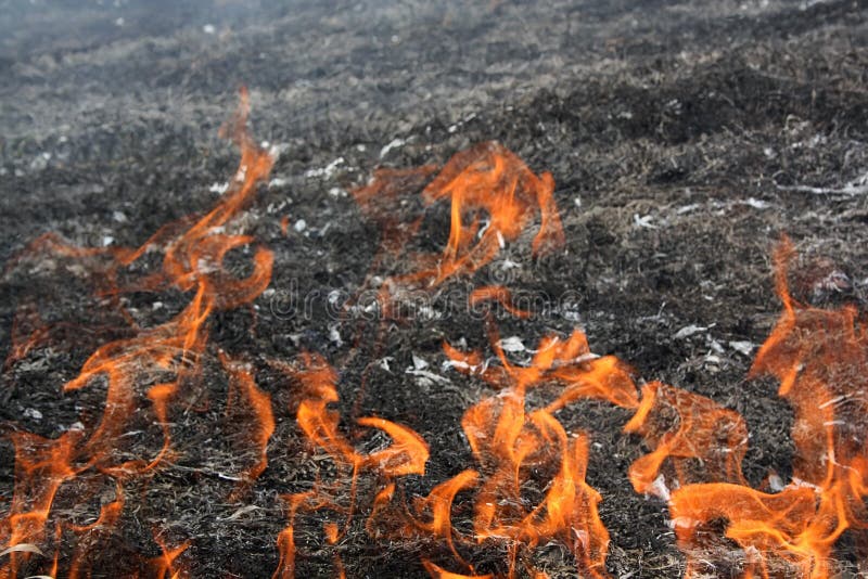 Fire stock image. Image of soil, ashes, blaze, forest - 19471395