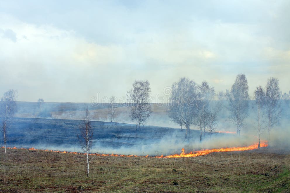 Fire stock photo. Image of smoke, burning, fell, fire - 19510432