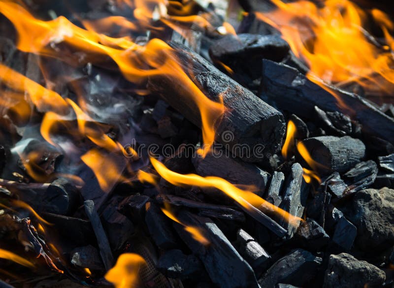 Extinguished Smoking Bonfire. Stock Image - Image of firewood, outdoors ...