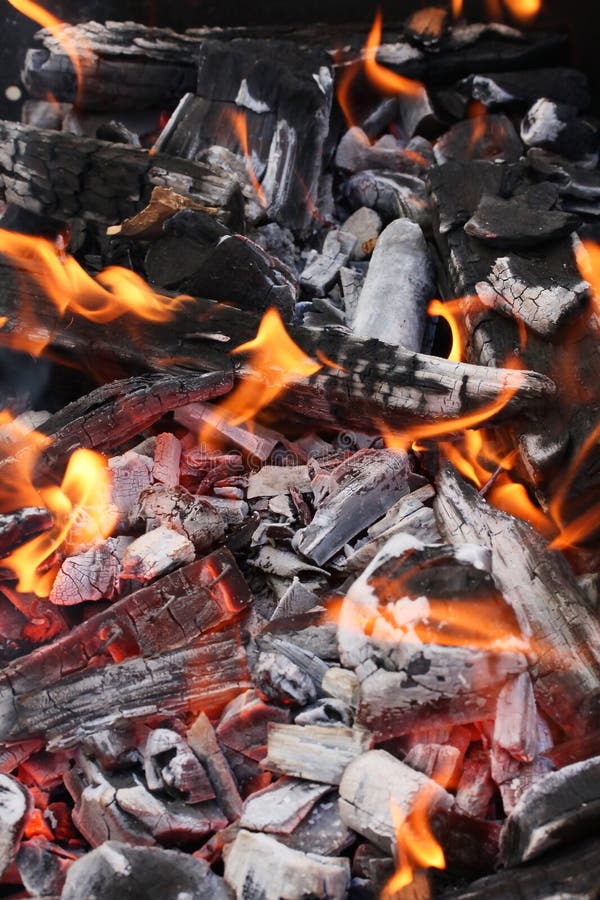 Fire stock photo. Image of heat, coal, barbecue, igniting - 20927232