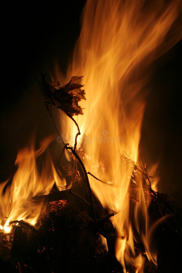 Praying hands by the sky stock photo. Image of religious - 2872616