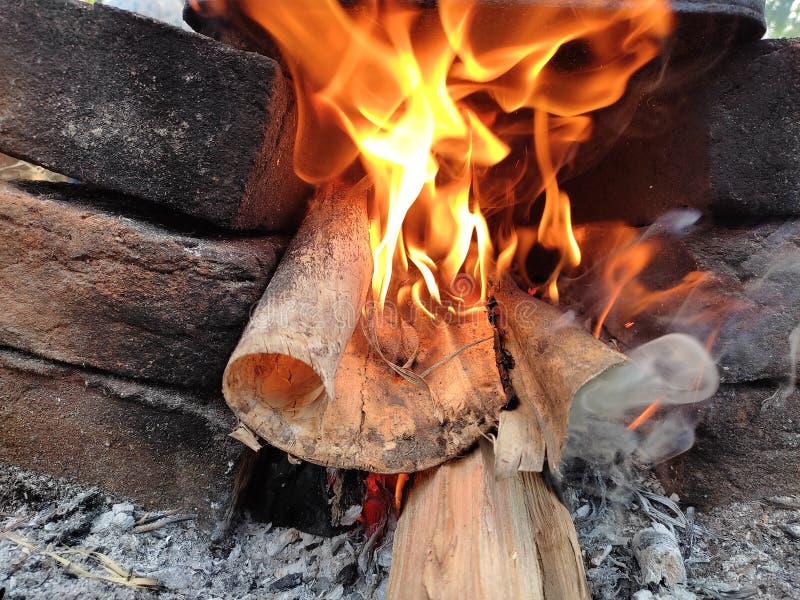Fire ðŸ”¥ Burning of Dry Leaves Stock Image - Image of fire, leaves ...