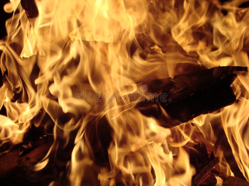 Campfire Wth Billowing Flames Stock Photo - Image of heat, peaceful: 866998