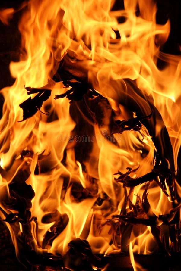Wild flames stock image. Image of flame, wild, coals, burn - 761265