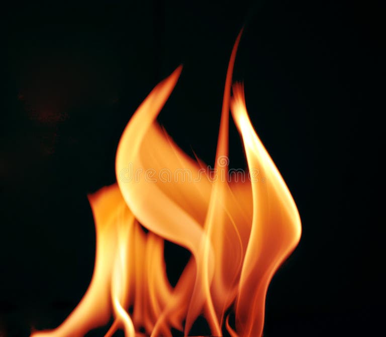 212 Fire Department Backdrop Stock Photos - Free & Royalty-Free Stock ...