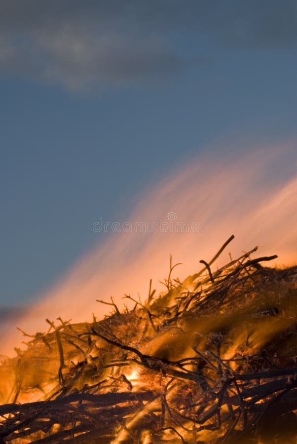 Fire stock photo. Image of dangerously, destroy, fire - 5644500