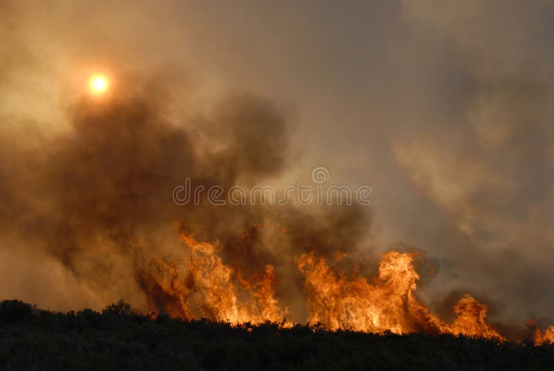 Fire stock image. Image of incendiary, close, brush, macro - 6939315