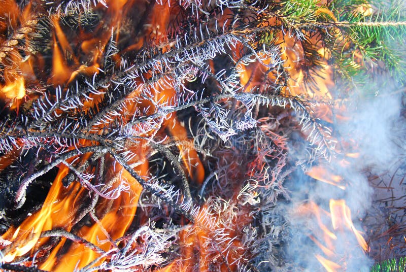 Fire stock image. Image of needle, colorful, fire, smoke - 7589777