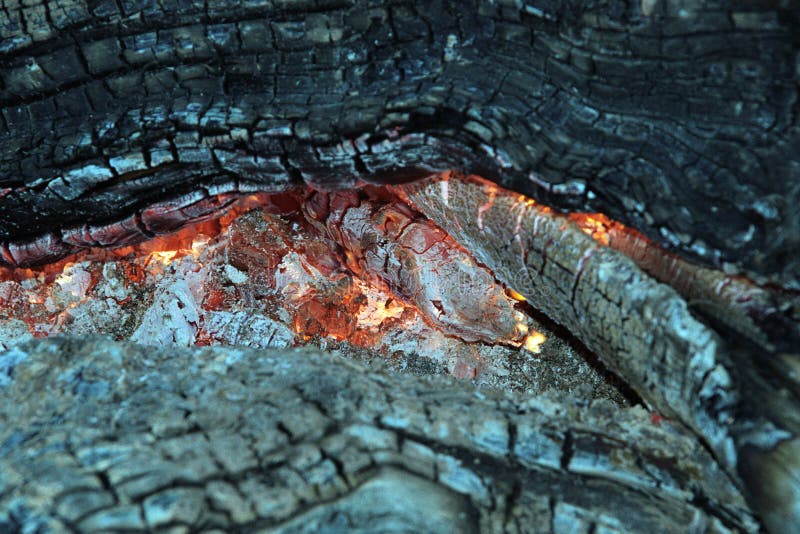The fire stock photo. Image of ashes, decay, wood, rest - 7668872