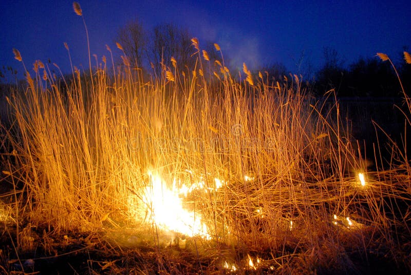 Fire stock image. Image of fire, night, light, dark, blue - 9181959