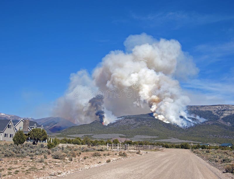 Prescribed Fire stock photo. Image of burned, blaze, landscape - 3580418