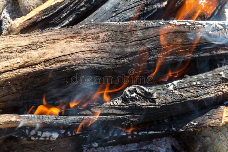 Fire absorbs firewood stock image. Image of bark, energy - 100627333