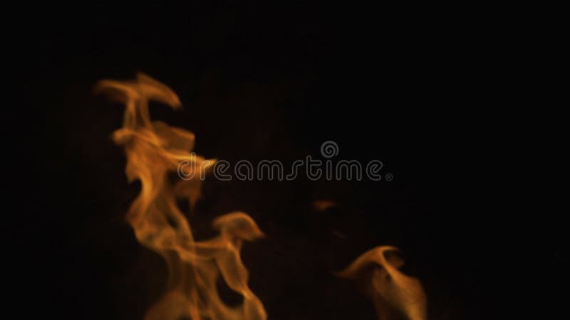 Fire. Abstract Background of Fire and Flames. Burning Big Flame. Fire ...