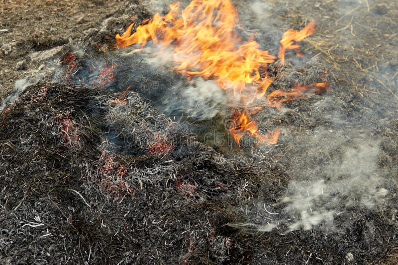 Ash on burned field stock photo. Image of warming, damage - 36382130