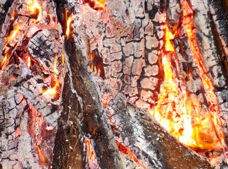 Fire anatomy stock photo. Image of flame, passion, hell - 10716