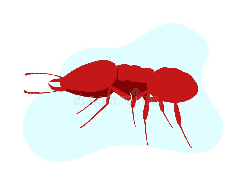 Army Ant Stock Illustrations – 221 Army Ant Stock Illustrations ...