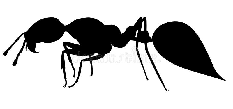 Fire Ant. Hand Drawing Realistic Vector Silhouette. Stock Vector ...