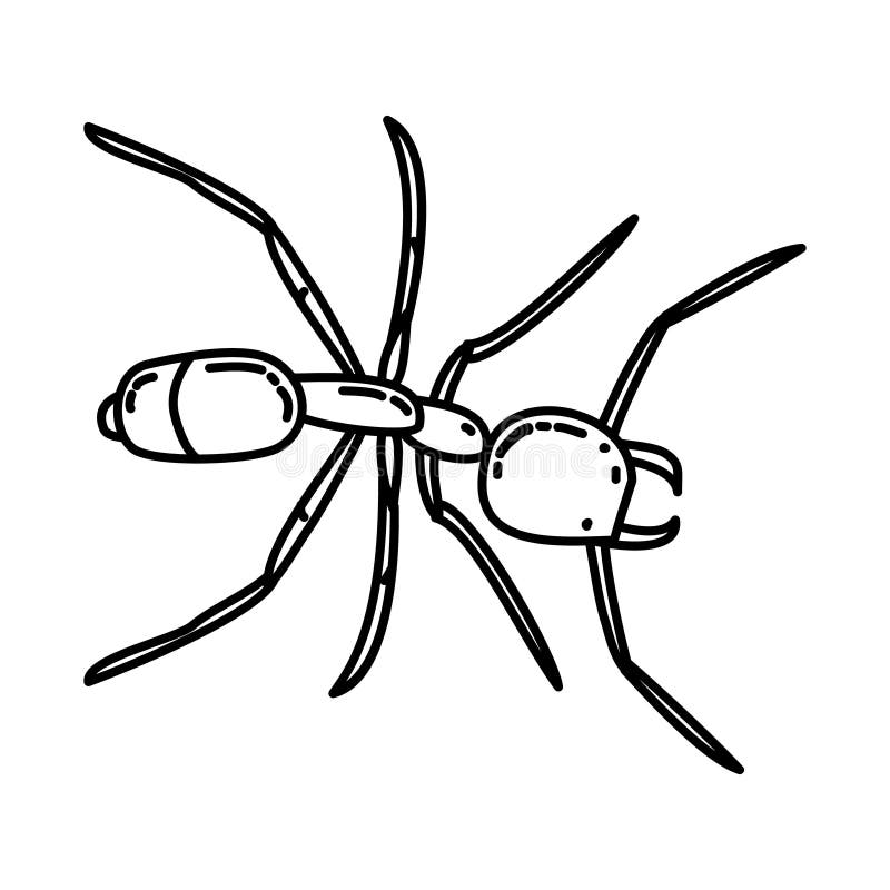 Red Ant Drawing
