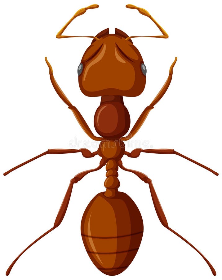 Fire Art Ant Stock Illustrations – 121 Fire Art Ant Stock Illustrations ...