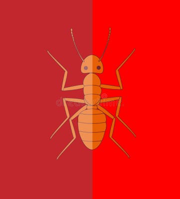 Fire Ant Stock Illustrations – 1,031 Fire Ant Stock Illustrations ...